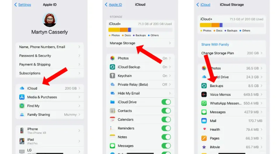 How To Recover Permanently Deleted Text Messages On IPhone? - Vokeme